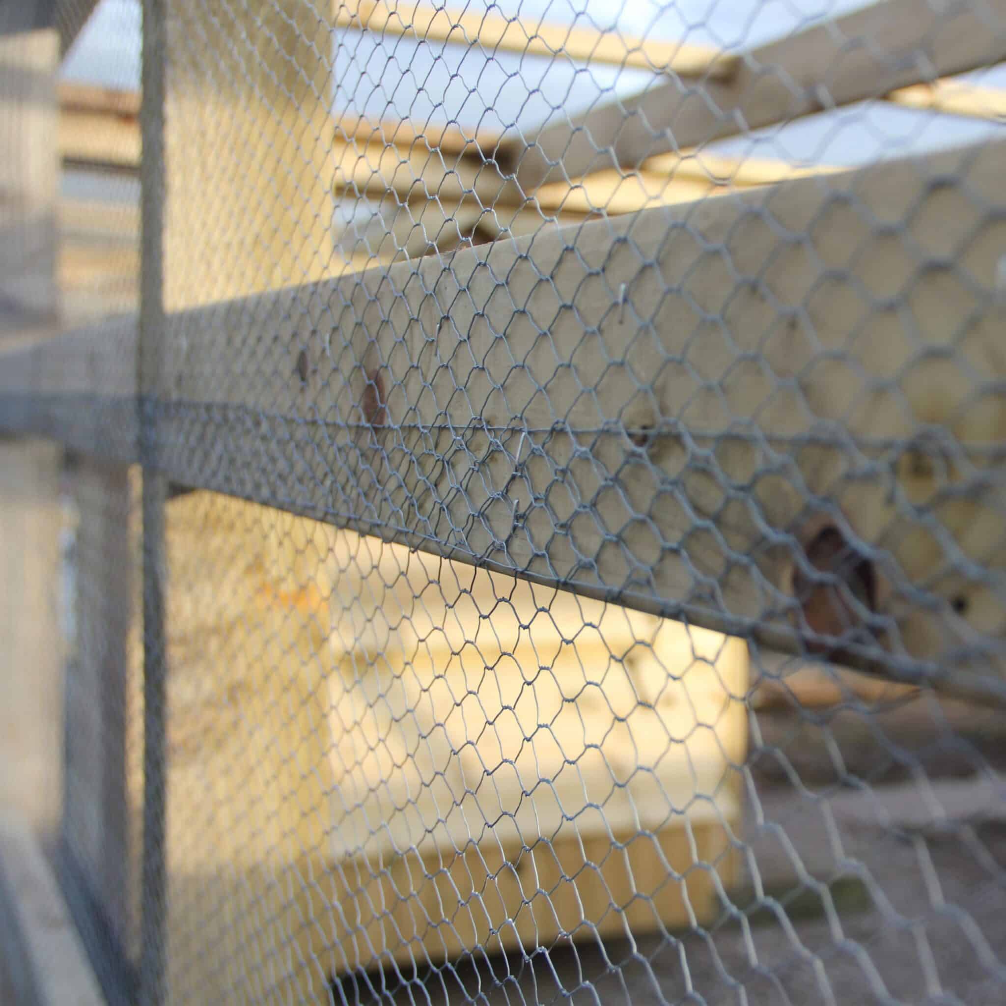 Everything that you need to know about #7: Hardware Cloth - The Mesh ...