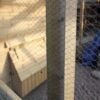 How to Fix Wire Mesh to Posts: A Comprehensive Guide - The Mesh Company