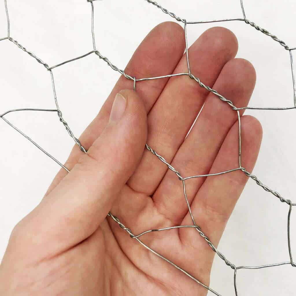 25mm Galvanised Steel Fox Proof Chicken Wire Mesh - The Mesh Company