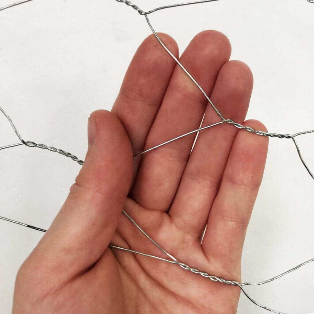 50mm Galvanised Steel Chicken Wire Fencing Mesh - The Mesh Company