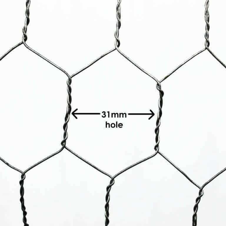 Unveiling the Strength: The Ultimate Guide to Chicken Wire Selection ...