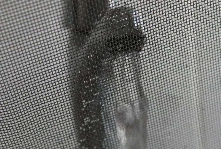 Everything that you need to know about #12: Woven Filter Mesh - The ...