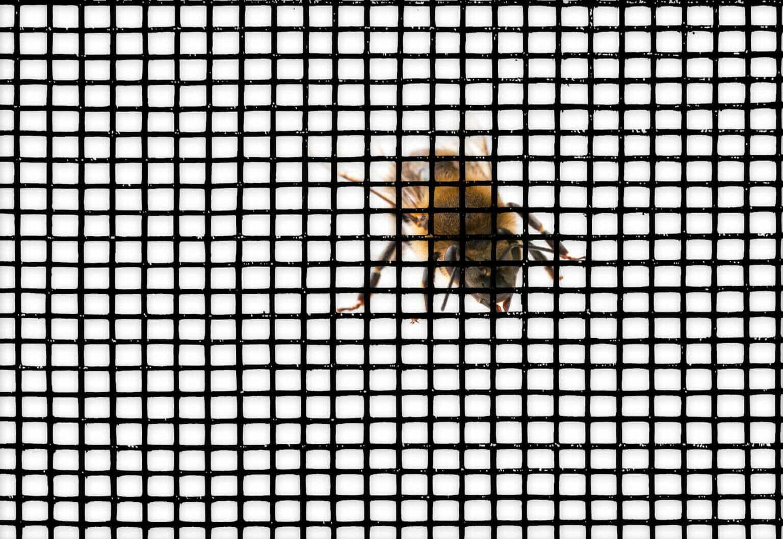Everything that you need to know about #4: Fiberglass Insect Mesh - The ...