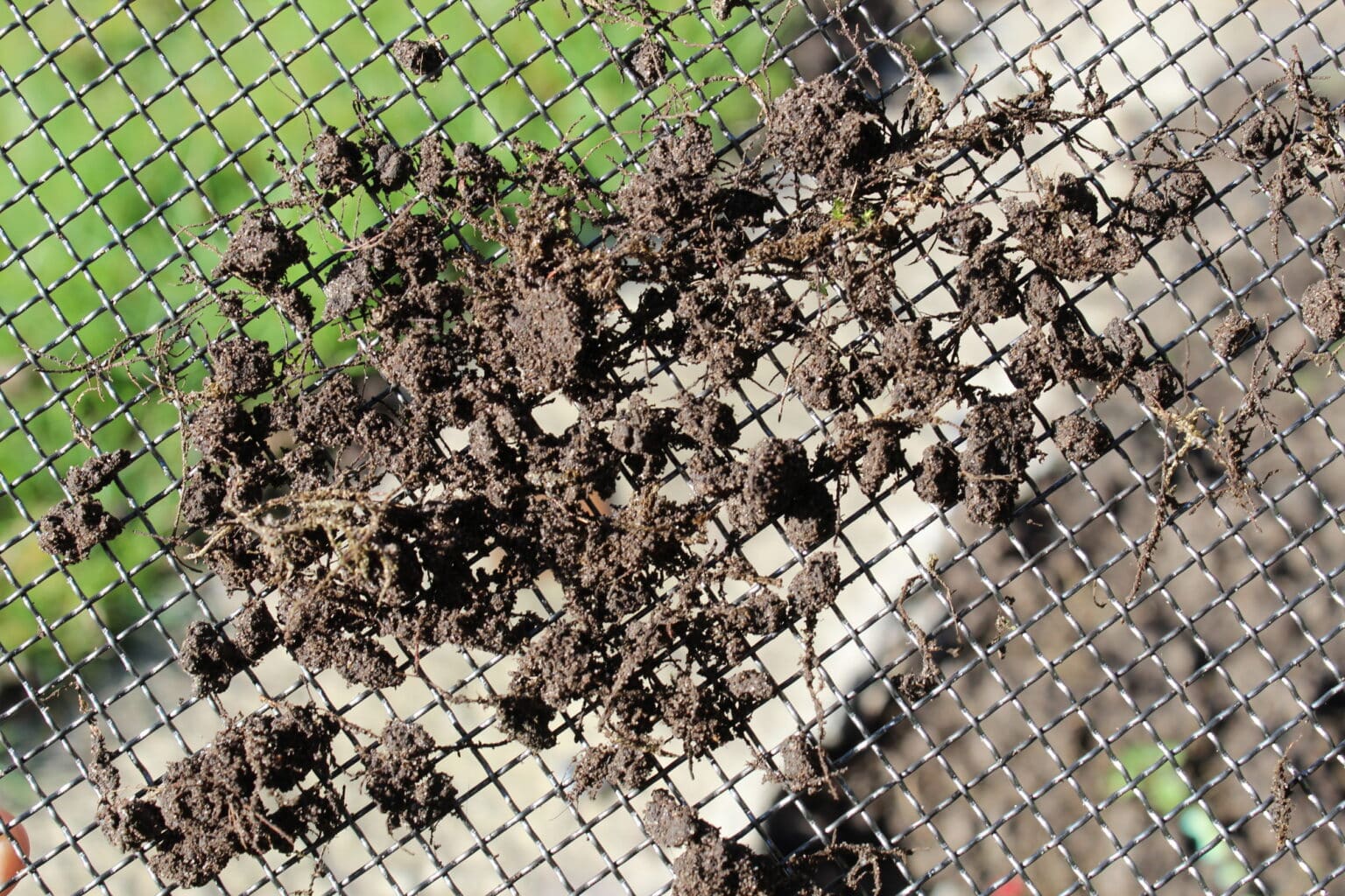 Using Wire Mesh to Sieve Soil - The Mesh Company