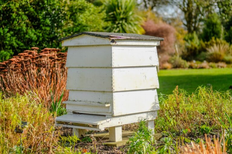 The Benefits of Using Wire Mesh for a Floor in Your Beehive - The Mesh ...