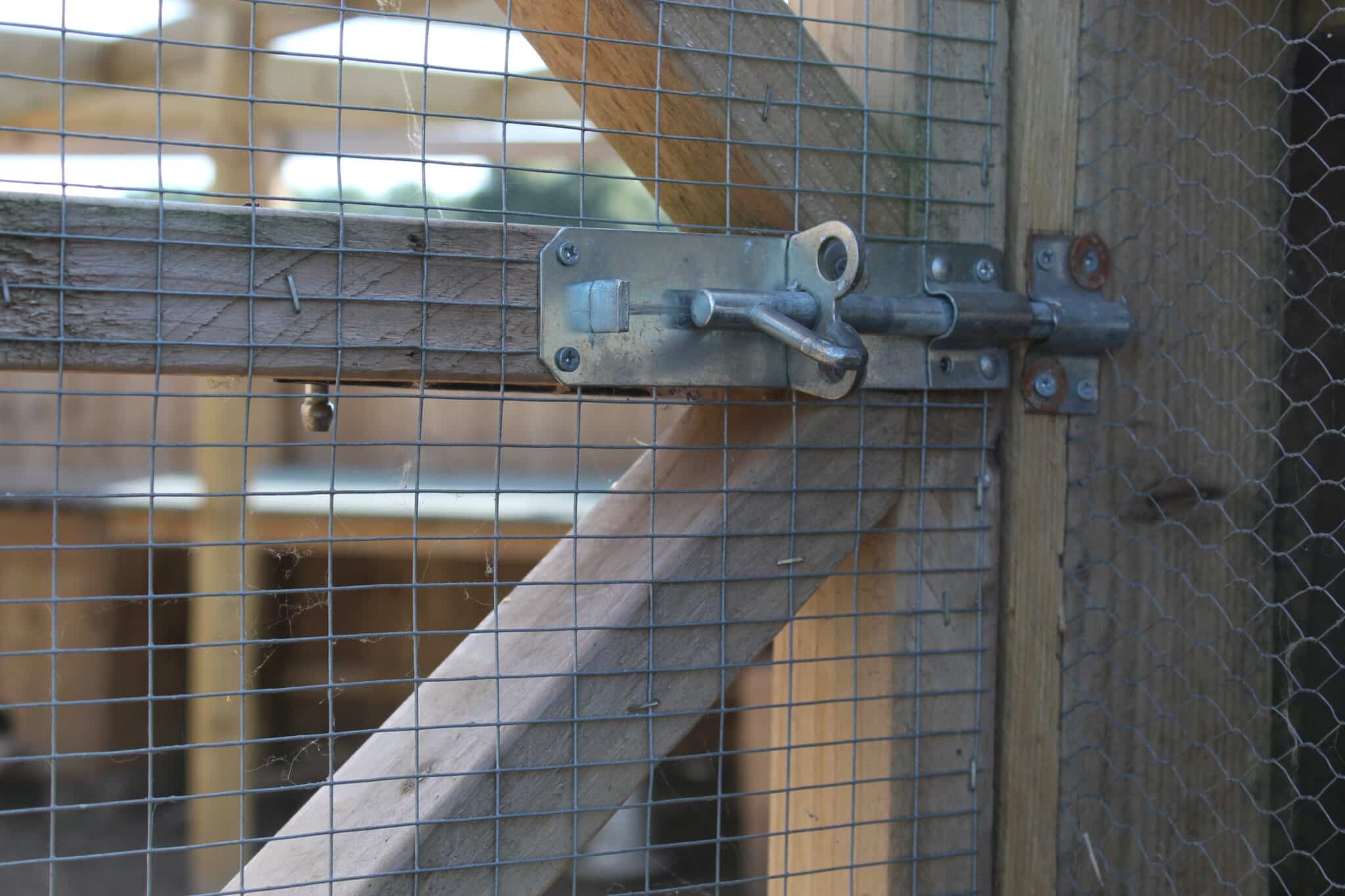 DIY Projects: Building a Predator-Proof Chicken Run with 13mm Steel ...