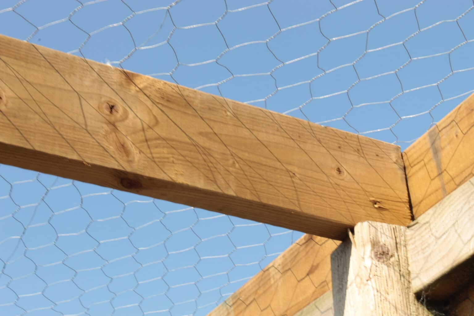 DIY Projects: Building a Predator-Proof Chicken Run with 13mm Steel ...