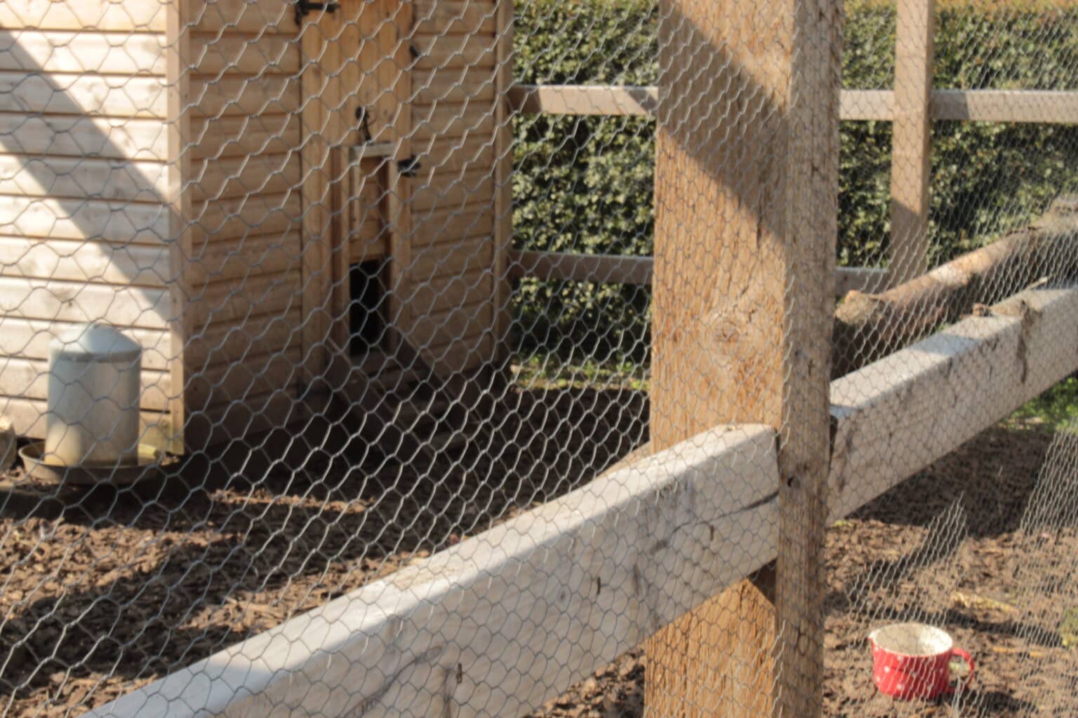 DIY Projects: Building a Predator-Proof Chicken Run with 13mm Steel ...