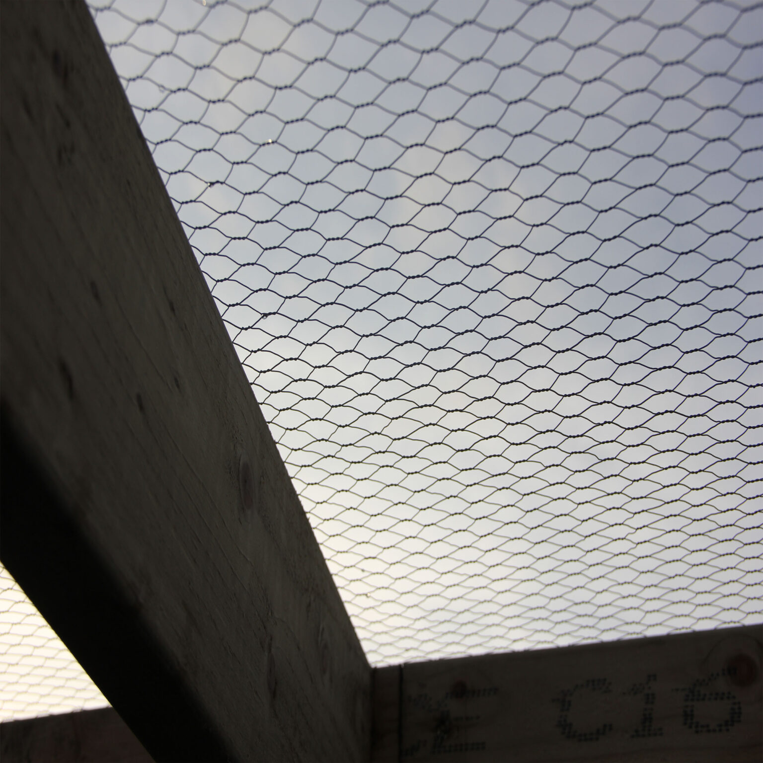 Unveiling the Strength: The Ultimate Guide to Chicken Wire Selection ...