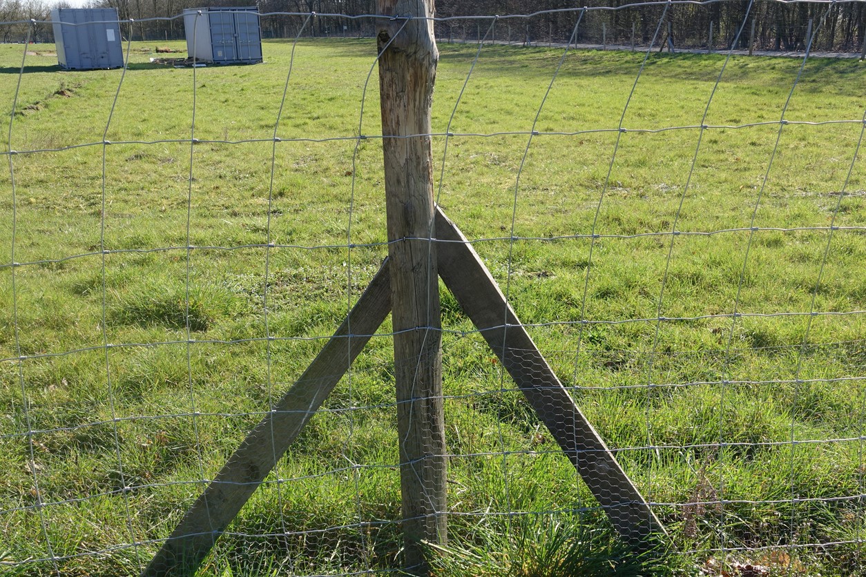 Using Copper Wire Mesh for Effective EMI and RFI Shielding - The Mesh ...