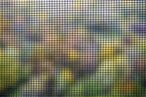 Which Insect Mesh Should I Use for Soffits and Cladding? A Mesh Company ...