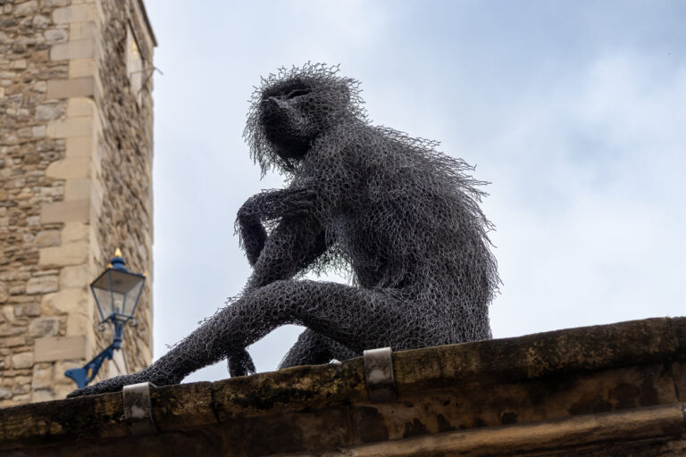 The Best Wire Mesh for Sculpting and Art Installations - The Mesh Company