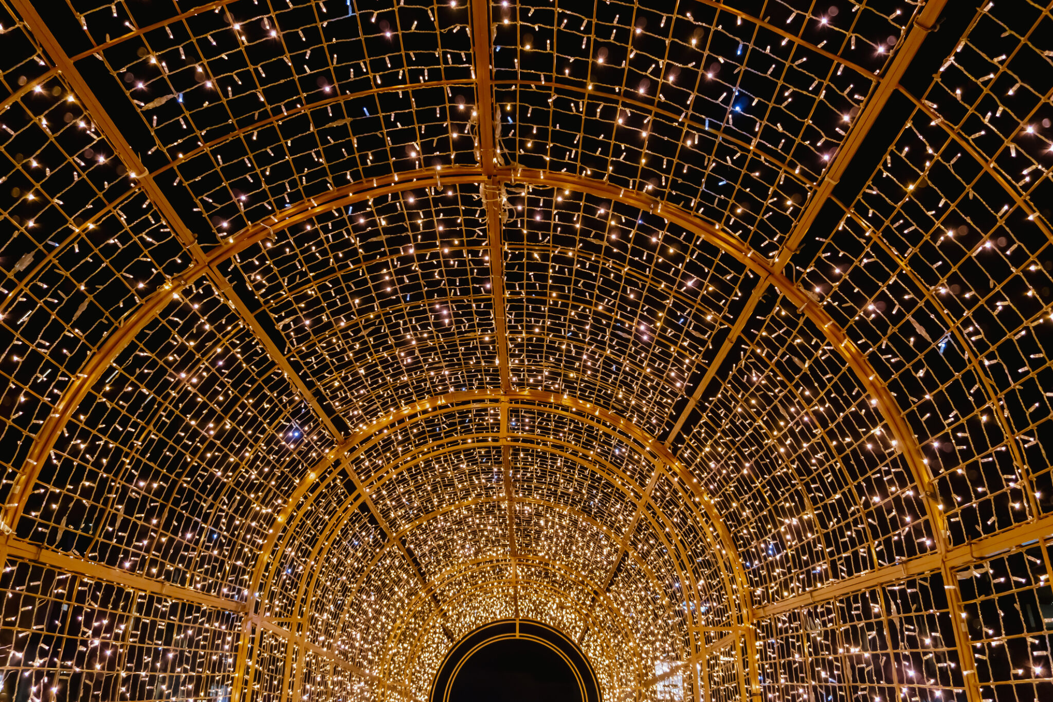 Everything that you need to know about #6: Rat Mesh - The Mesh Company